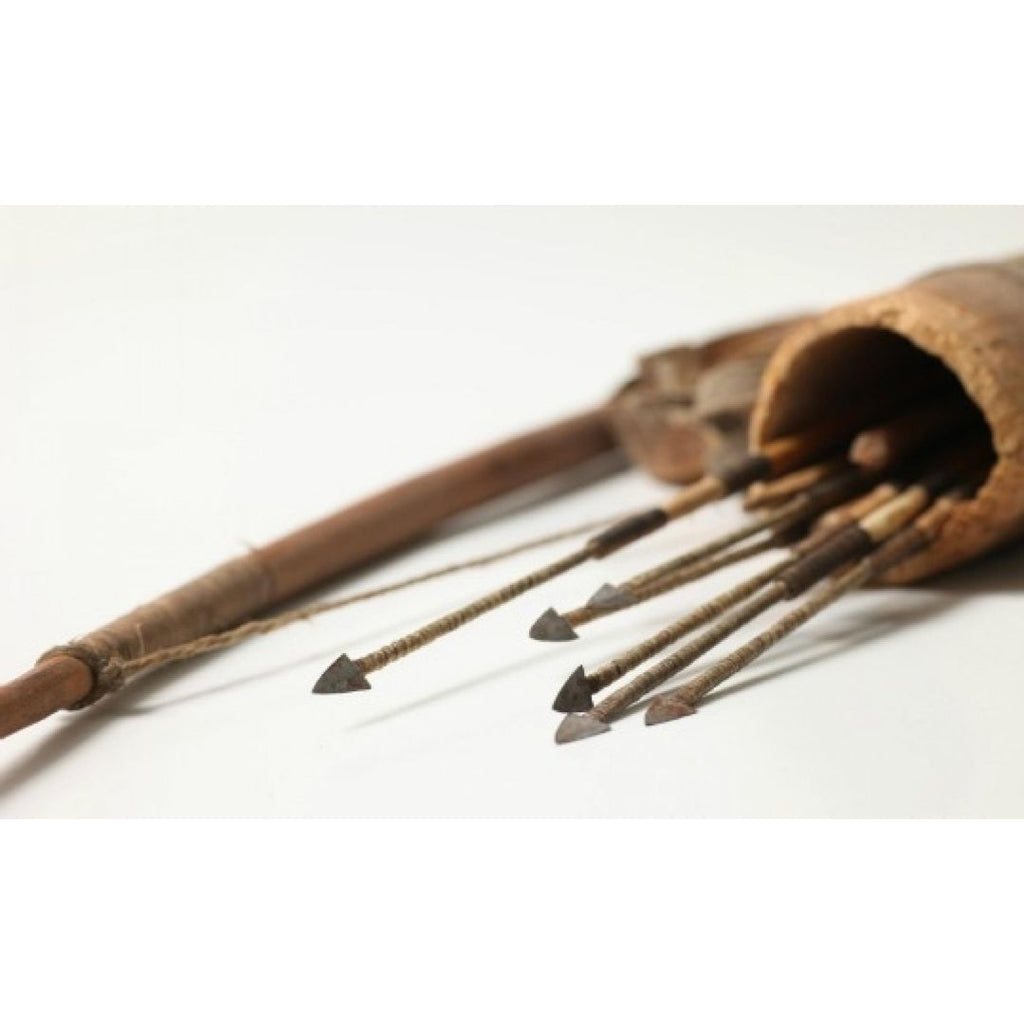 Primitive Archery: The Art of Bow Making and Crafting Arrows for Wilde ...