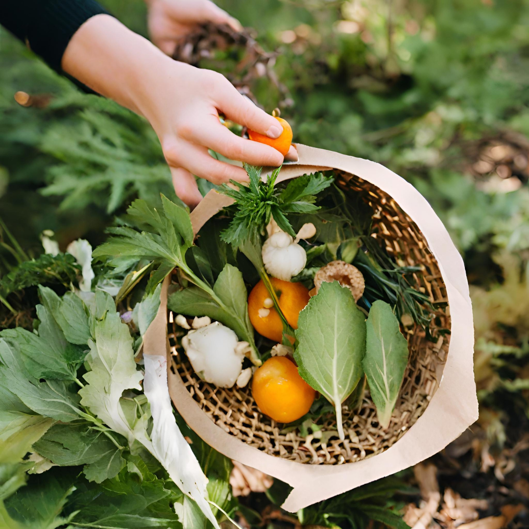 A Seasonal Guide to Food Foraging - Battlbox.com