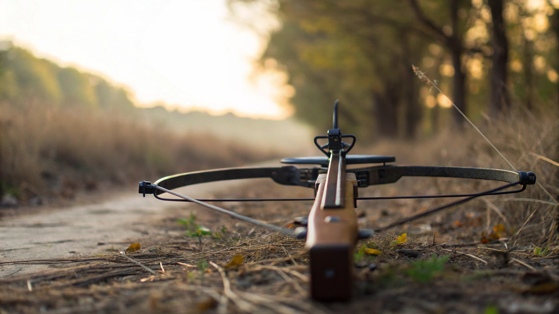 How to Build a Crossbow for Hunting: A Comprehensive Guide | Battlbox ...
