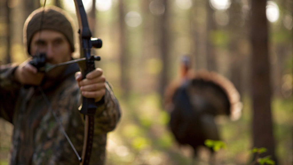How to Hunt Turkey with a Bow: A Comprehensive Guide for Aspiring ...