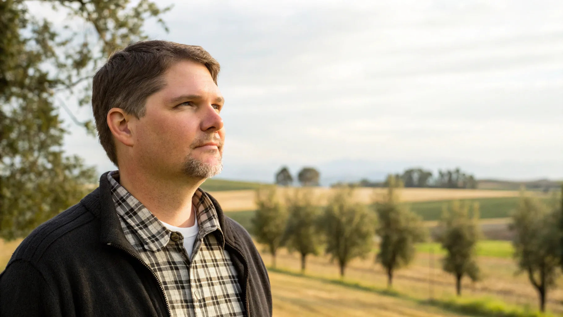 Is Dove Hunting Legal? A Comprehensive Guide to Regulations and ...