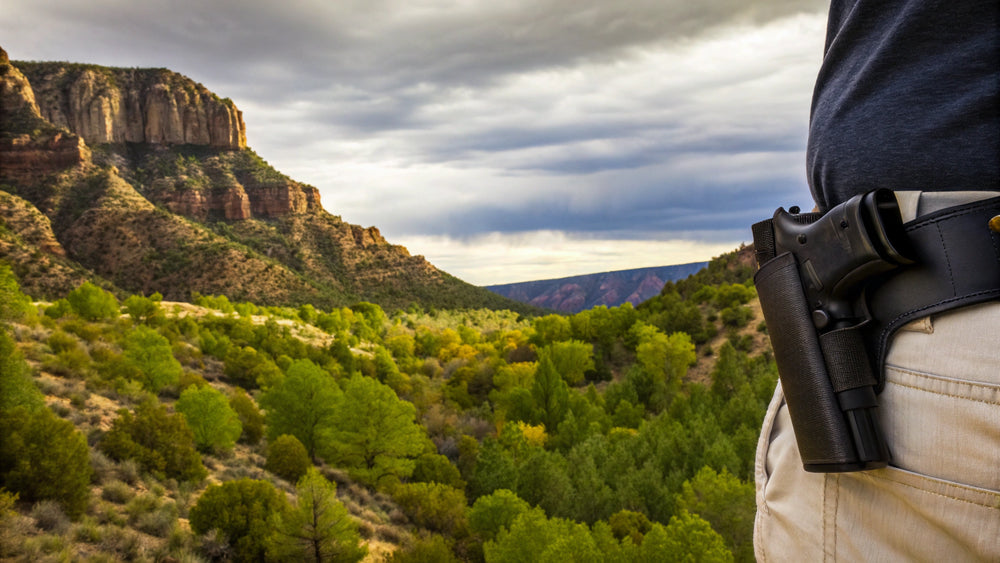 States That Honor New Mexico Concealed Carry Permits - Battlbox.com
