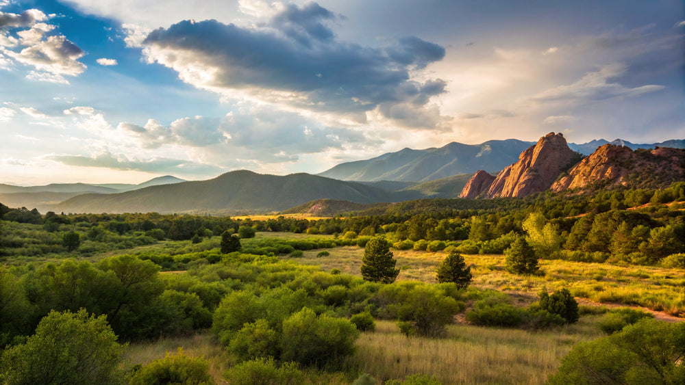 Best Places to Hunt Turkey in Colorado: A State Guide - Battlbox.com