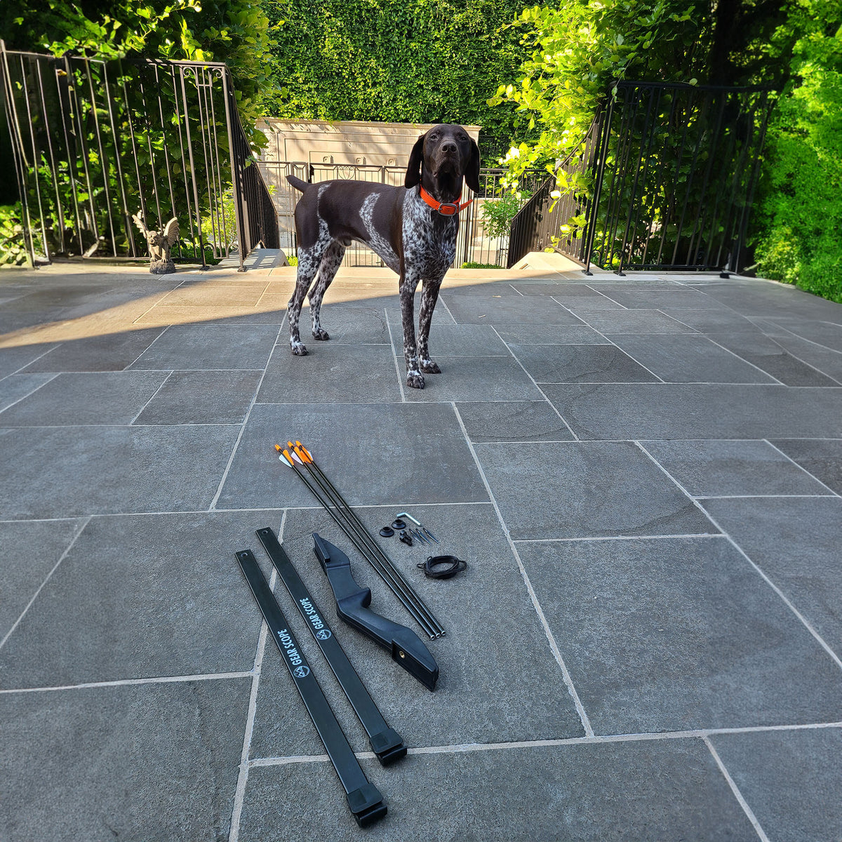 Gear Scope Breakdown Bow - Battlbox.com