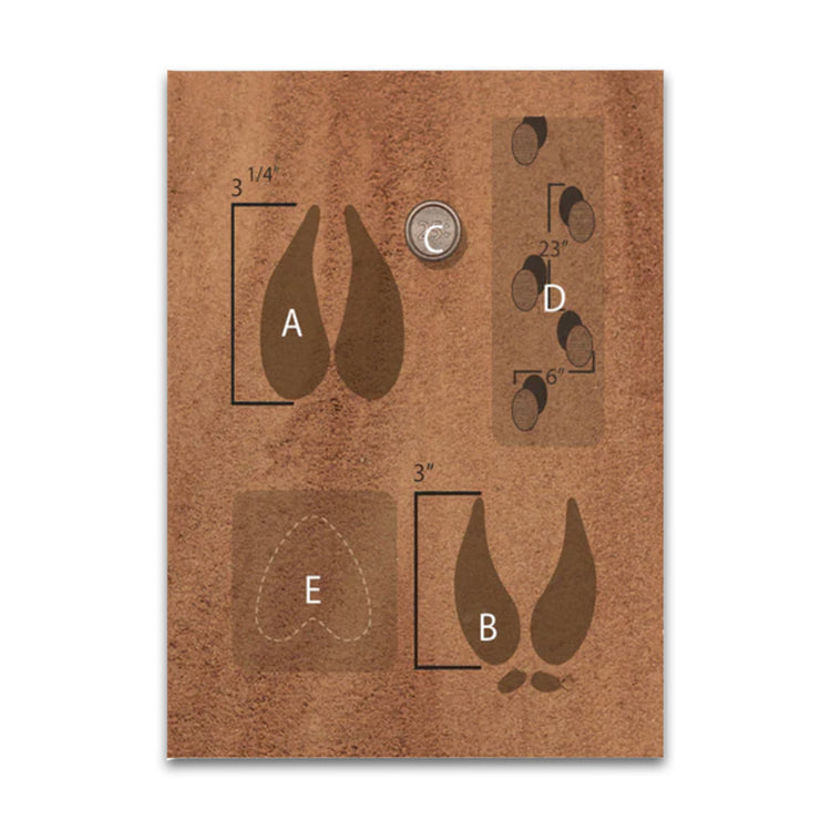 SILVA TRACKING: Animal Tracking Flashcards - Battlbox.com