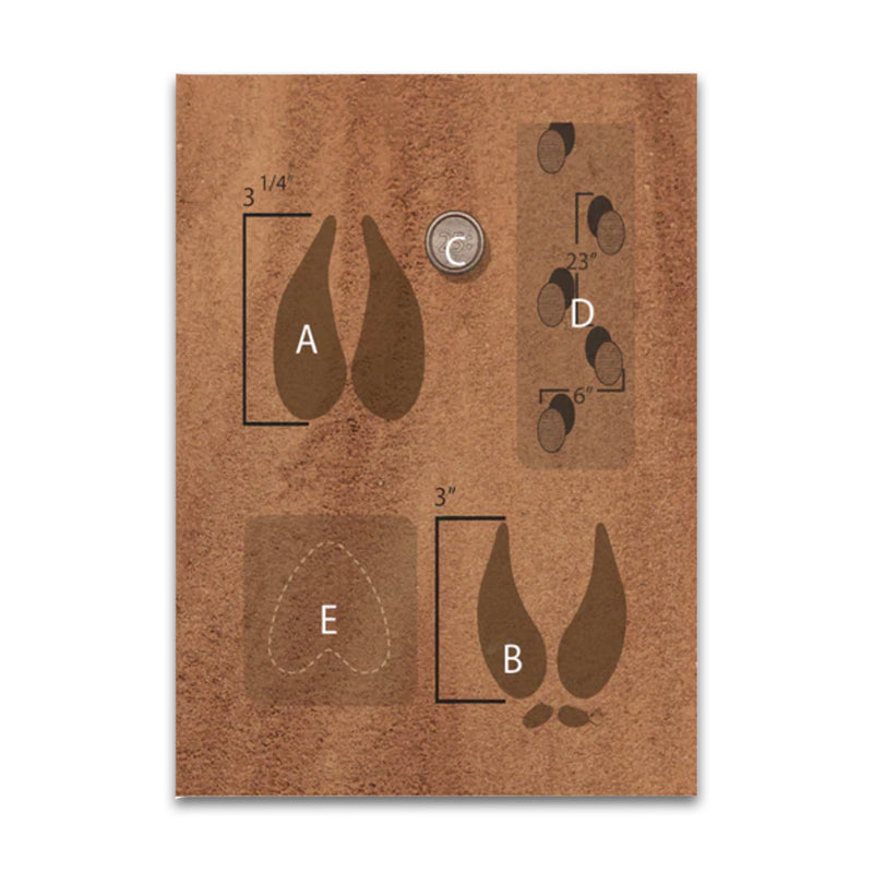 SILVA TRACKING: Animal Tracking Flashcards - Battlbox.com