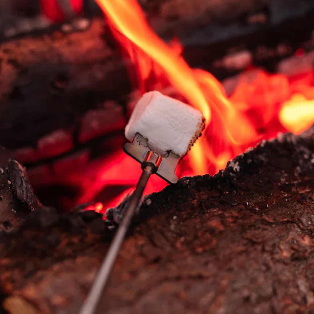 Telescoping Campfire Roasting Stick - Battlbox.com