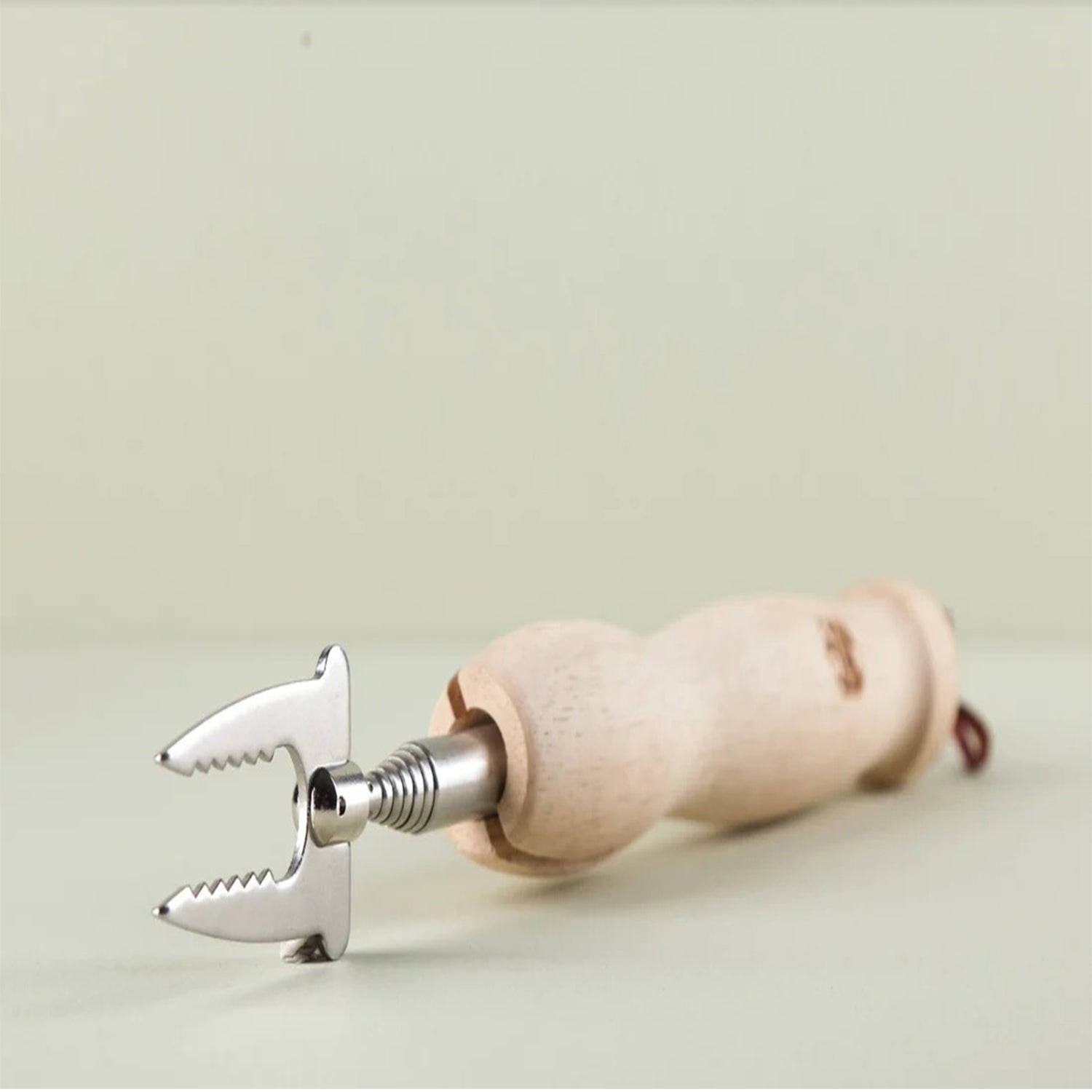 Telescoping Campfire Roasting Stick - Battlbox.com