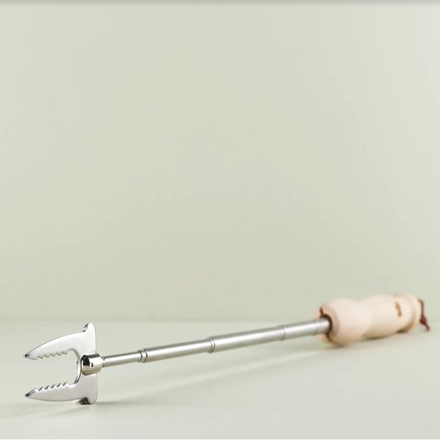 Telescoping Campfire Roasting Stick - Battlbox.com