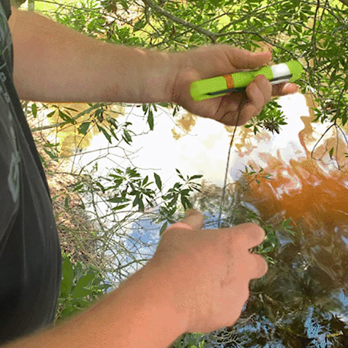 Southern Survival Instant Limb Lines 2-Pack Auto Fishing Device ...