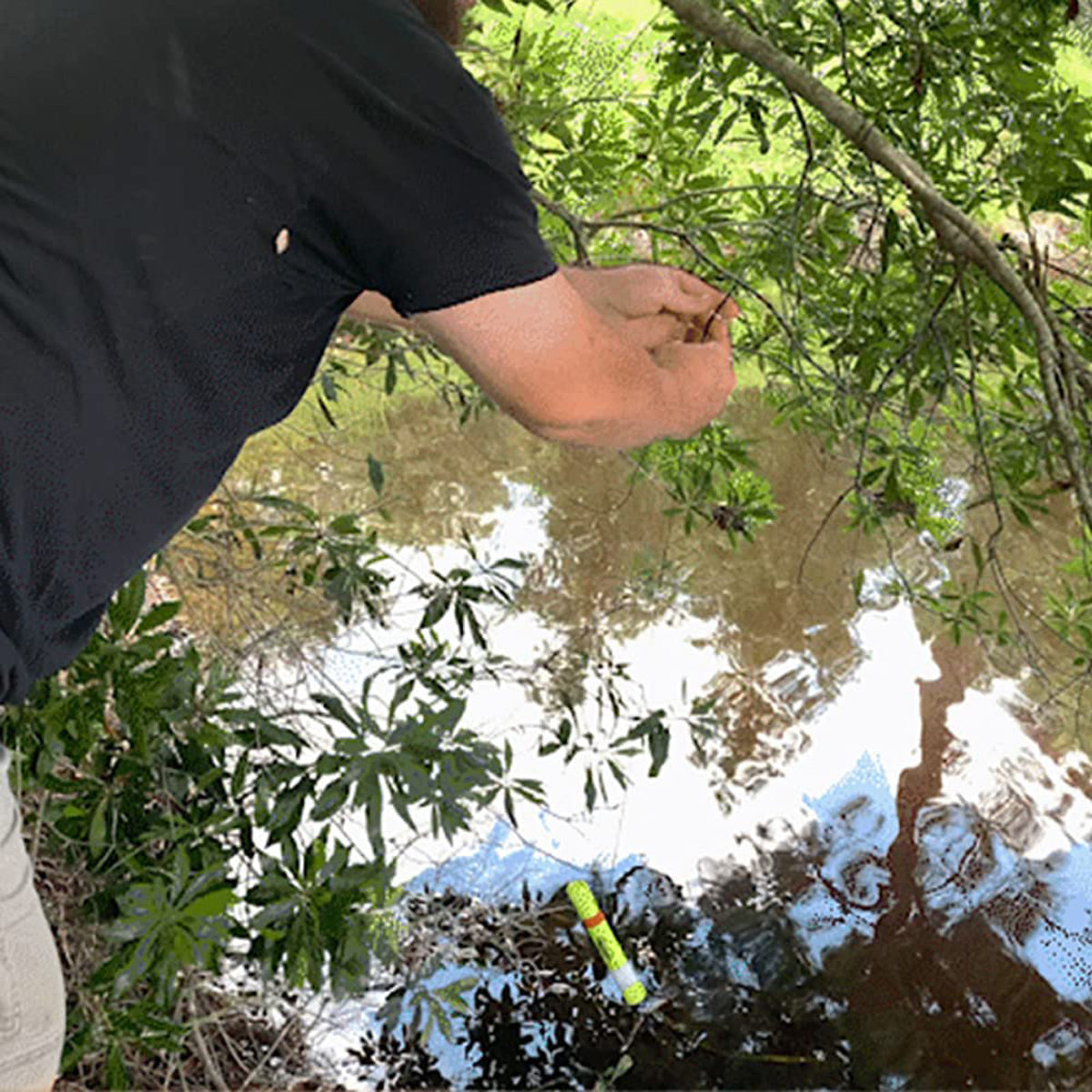 Southern Survival Instant Limb Lines 2-Pack Auto Fishing Device ...