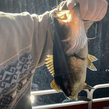 Southern Survival Instant Limb Lines 2-Pack Auto Fishing Device ...