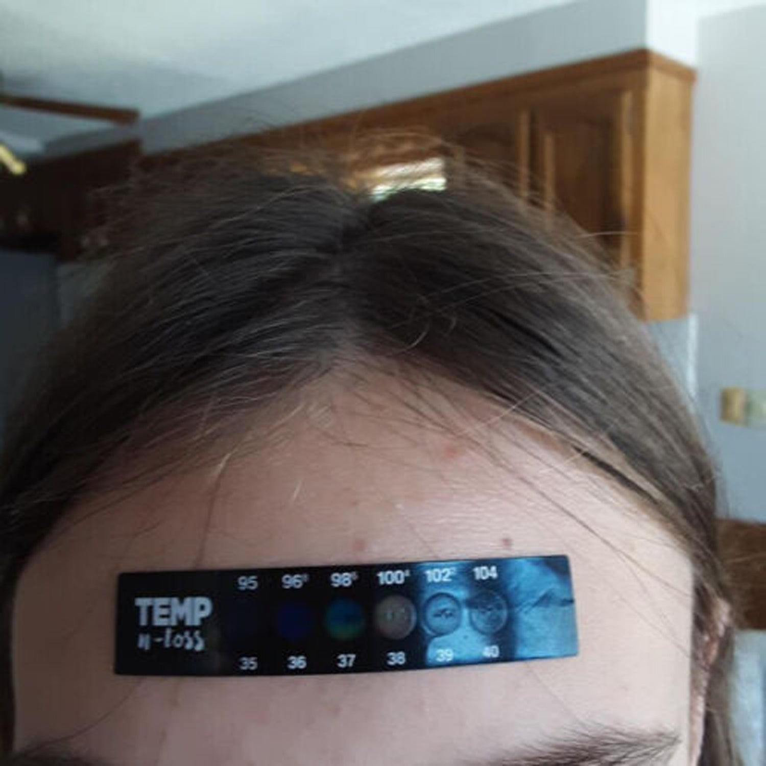Temp-N-Toss Disposable Forehead Thermometer Strips - Battlbox.com