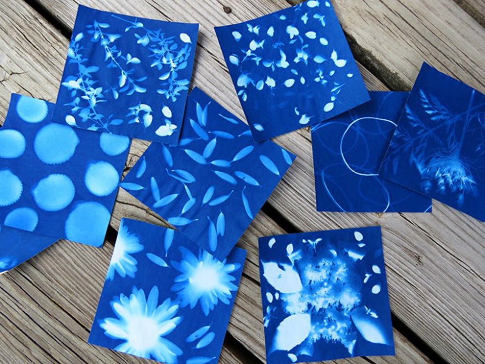 Sunprint Paper Craft Kit - Battlbox.com